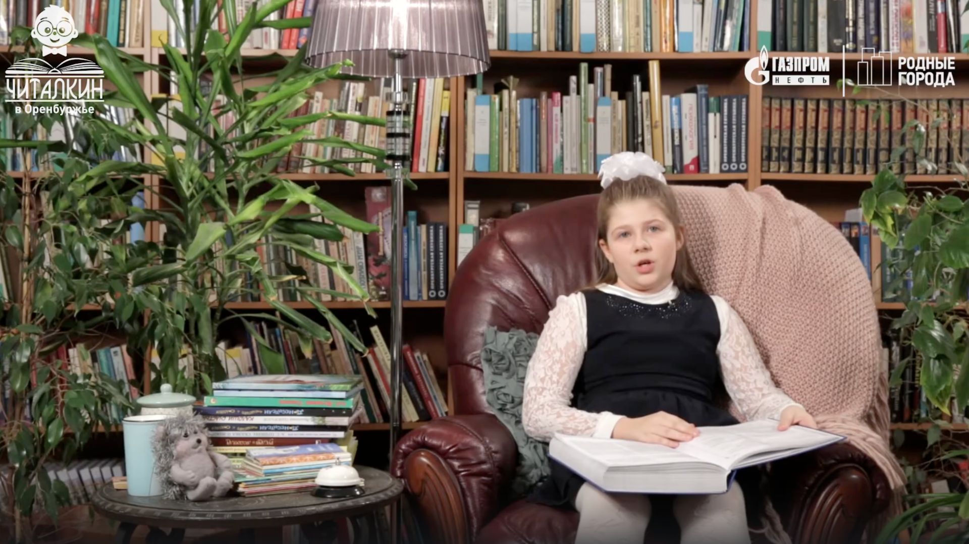 "Жук, кот и я". Екатерина Безбородникова. Читает Лада Шевякова.