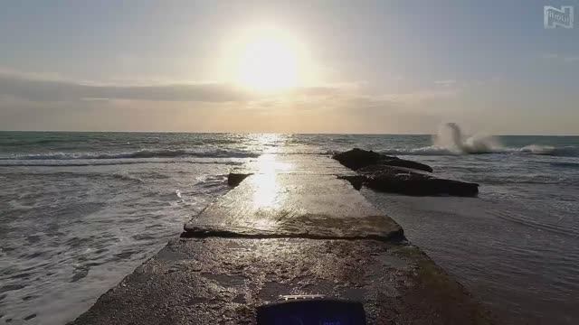 KUGOO wish 04, 27 января 2026 плиты.