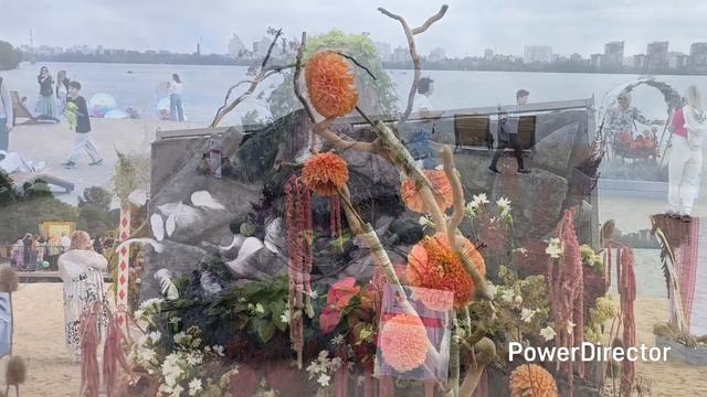 Воронеж город сад 7.09.25 г.