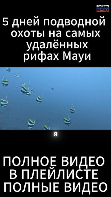 5 дней подводной охоты на самых удалённых рифах Мауи ЧАСТЬ 7/10