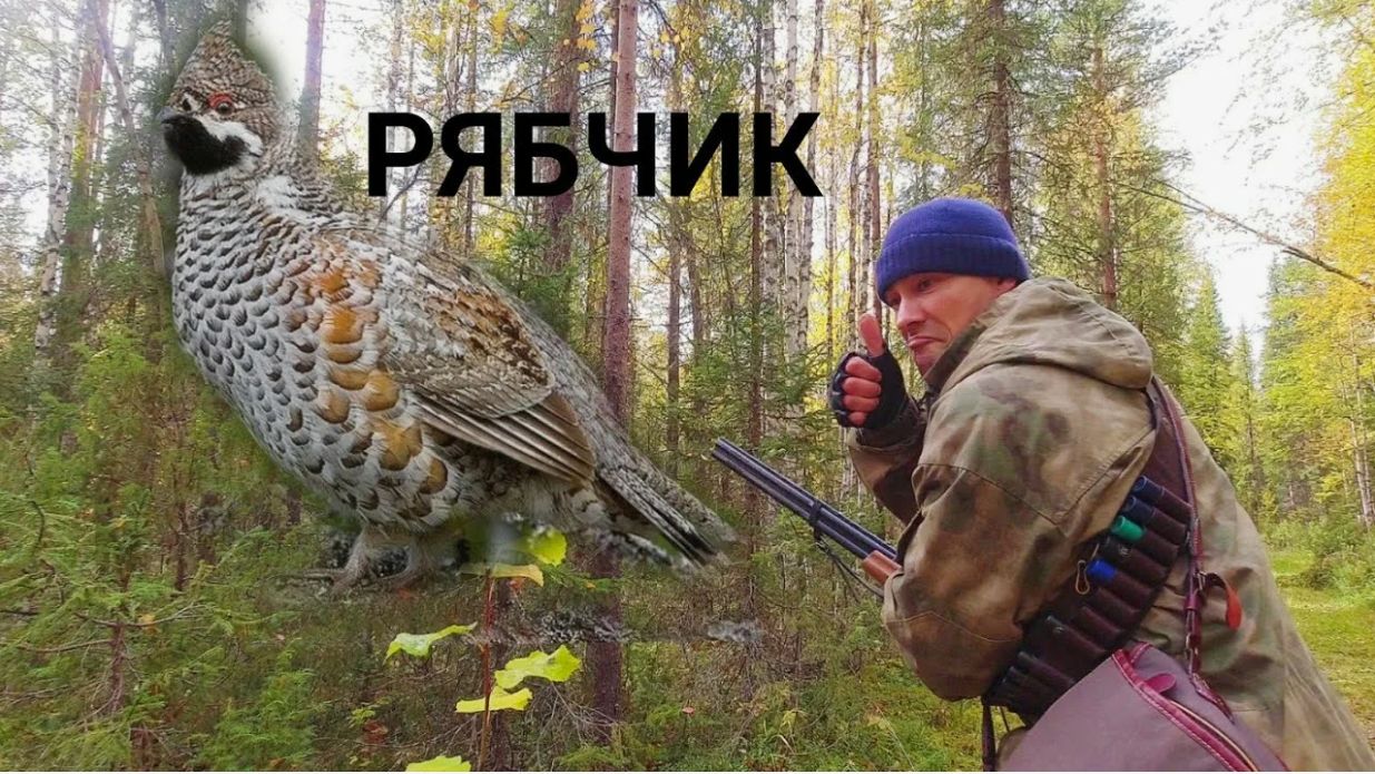 BULT:Hunting simulator