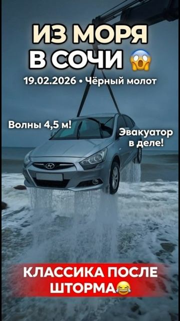 Классика после шторма в Сочи