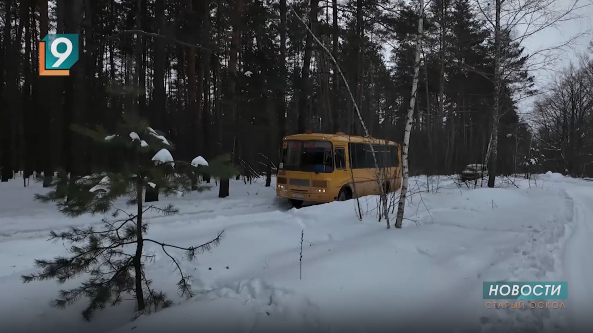 Новости Старого Оскола от 25 февраля