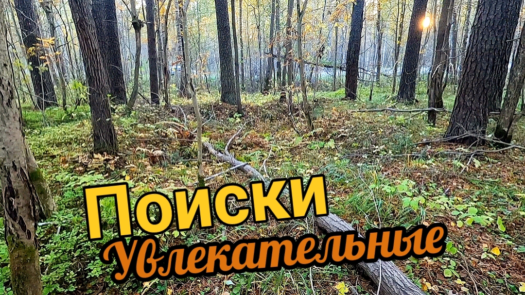 Нашёл  металлоискателем на окраине леса!