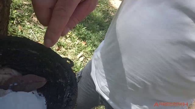 Полился каучук