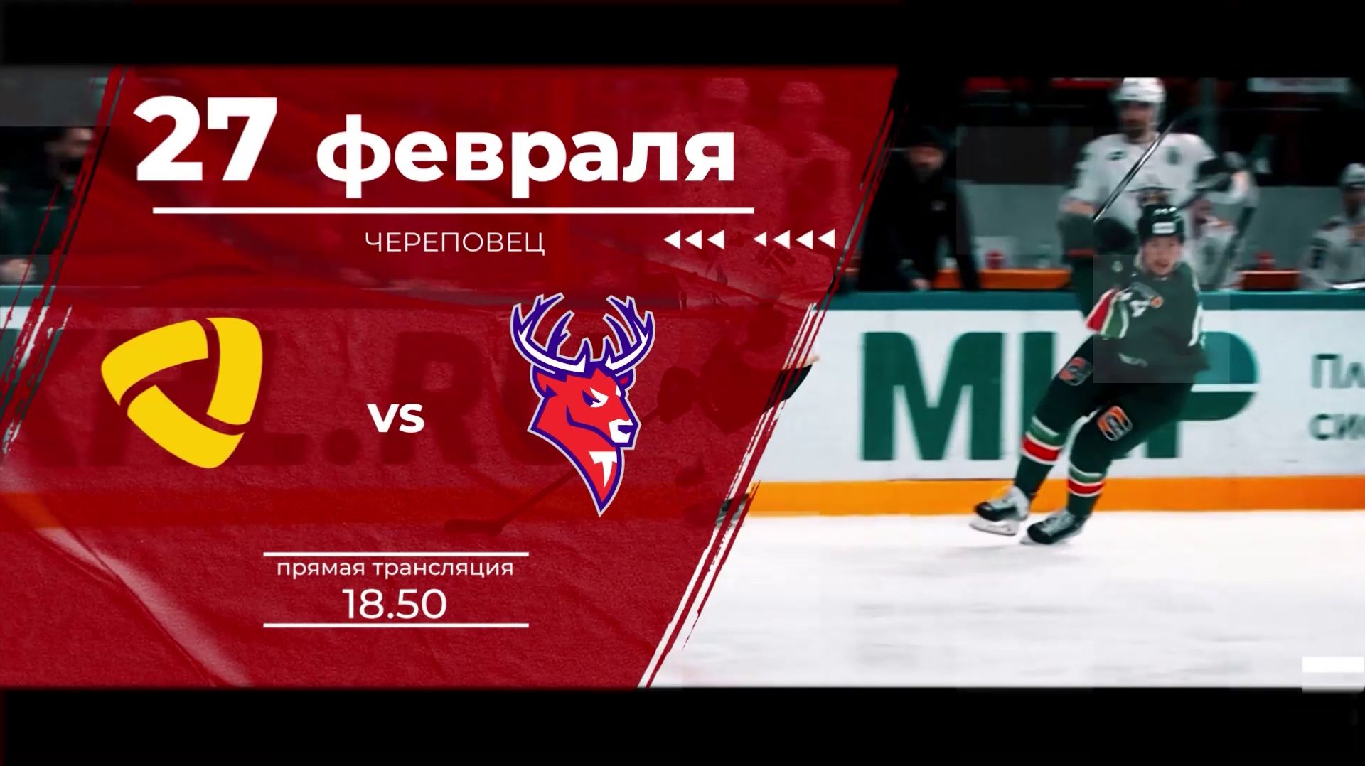 Матч КХЛ "Северсталь" - "Торпедо": следите за игрой на телеканале "Нижний Новгород 24" и на "Маяке"