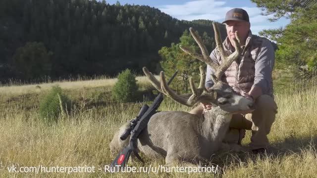 🎯📚 ТОП-50 величайших охот всего за 20 минут! Истории, рассказы и советы из охотничьих журналов🌳🐾