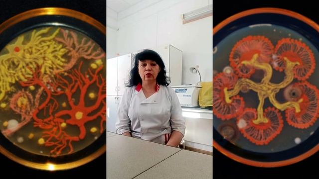 1. Канин К.Е. Конкурс видеороликов РКММИ