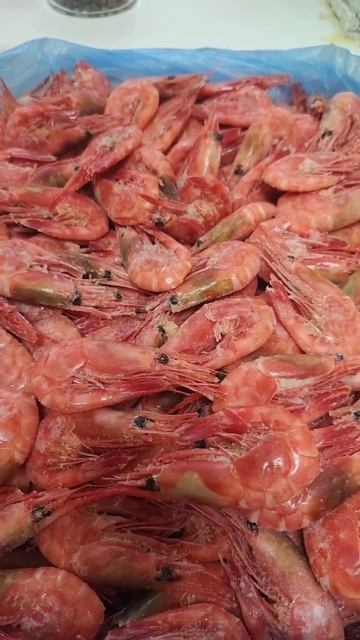 Креветка северная вм нр МАГАДАНСКАЯ (коробка 5кг)