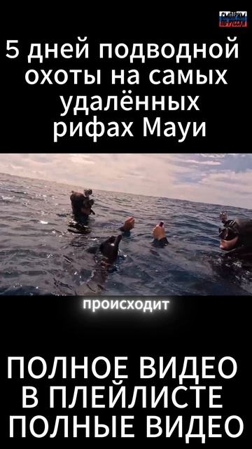 5 дней подводной охоты на самых удалённых рифах Мауи ЧАСТЬ 6/10