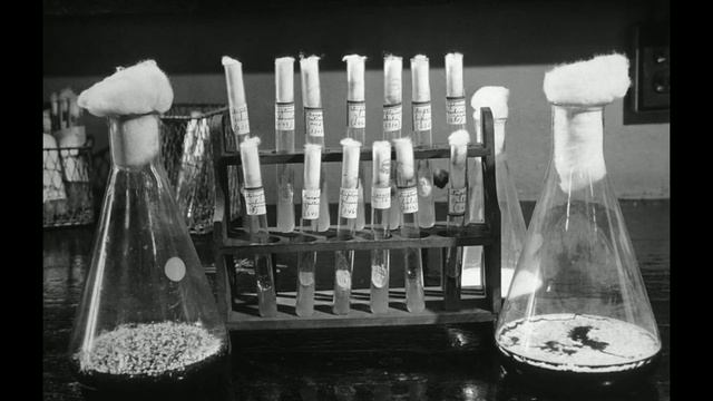 13. Попонина Е. Д. Конкурс видеороликов РКММИ