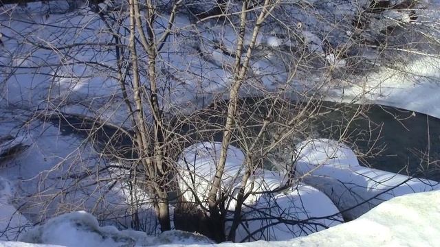 Муромцево 24 февраля 2026г Весна на пороге...