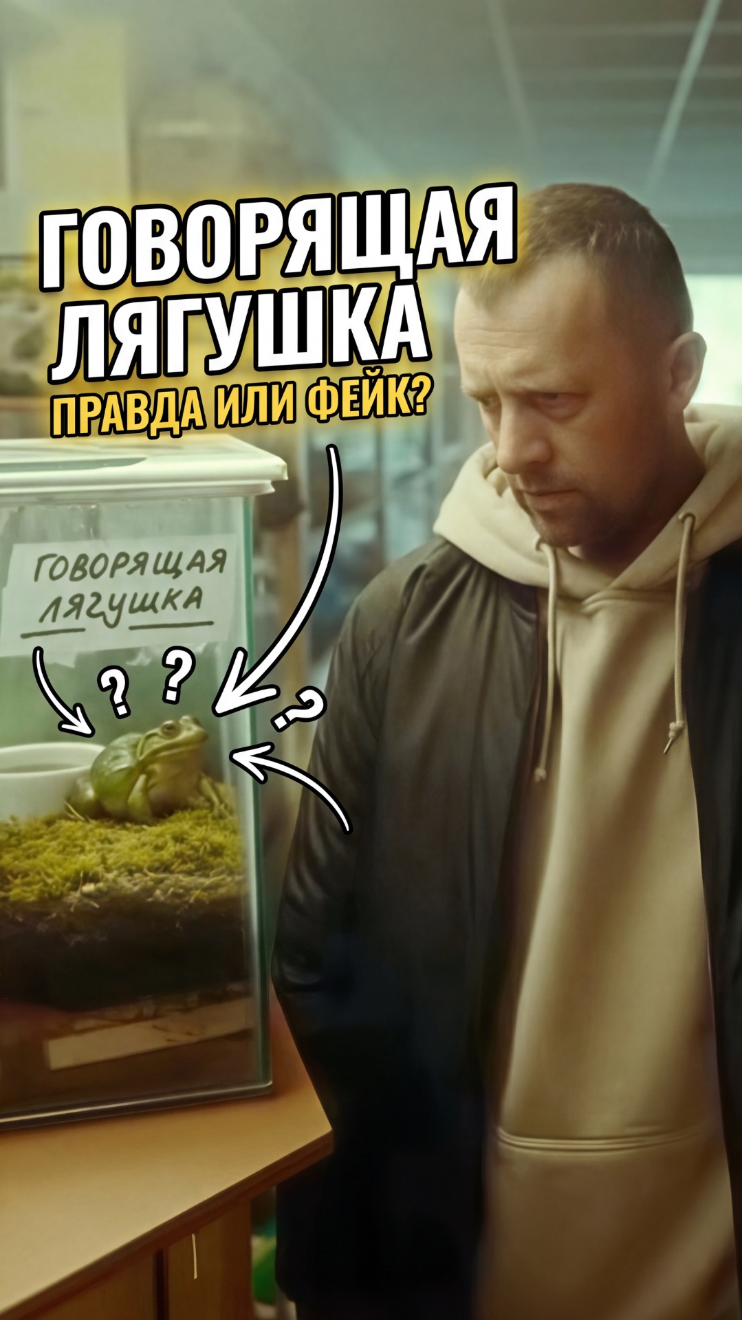 Говорящая лягушка