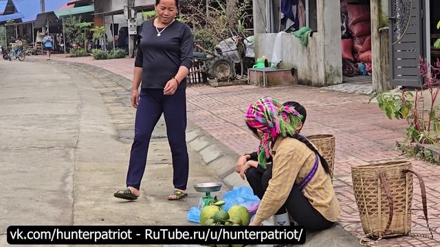 🌆 Жизнь в Горах: Сбор Урожая Грейпфрутов и Апельсинов для Продажи, Приготовление Курицы 🍊🍗