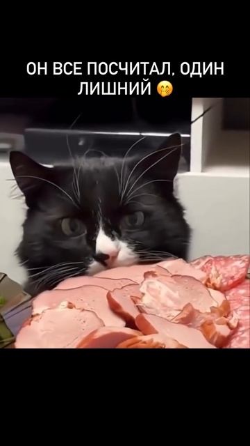 Огурцы считать не стал