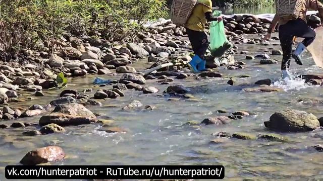 🏞️ Жизнь в Горах: Укладка Камней, Перекрываем Воду, Рыболовство и Заготовка Рыбы для Продажи