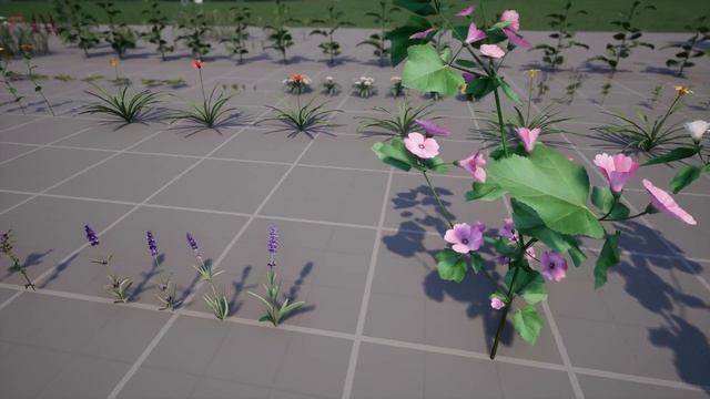 Flowers and Plants Nature Pack