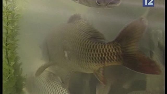 Череповец. Исторические хроники: 1360 - 1775