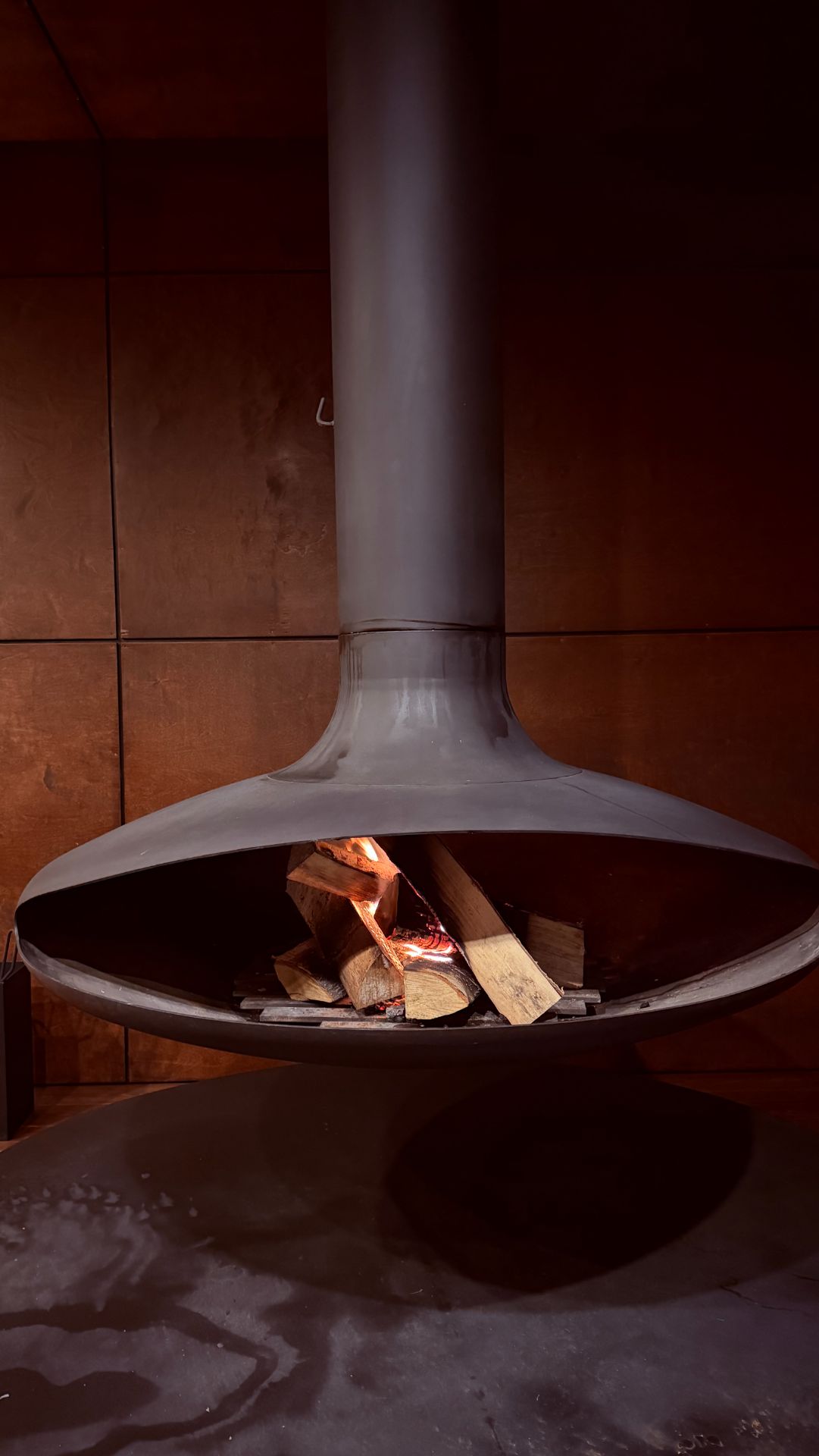 Подвесные вращающиеся камины это что-то невероятное 😍 На видео камин ELLIPS