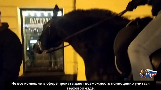 Лошади зовут: 3 пути в конный мир