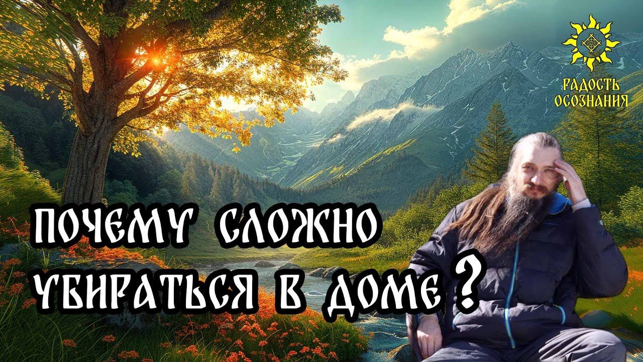 Почему сложно убираться в доме?