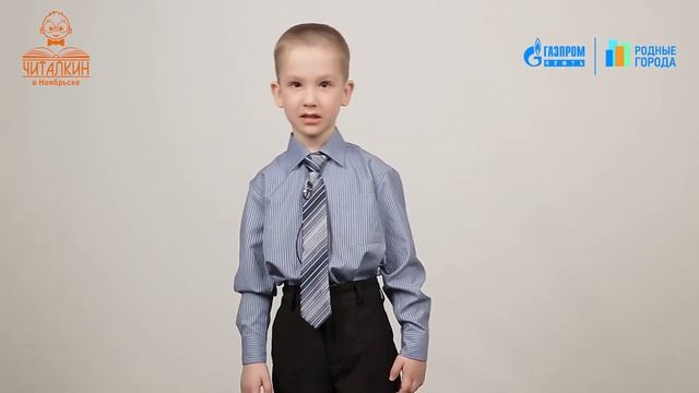 "Как бы жили мы без книг" . Сергей Михалков. Читает НАИЗУСТЬ Родион Паул.