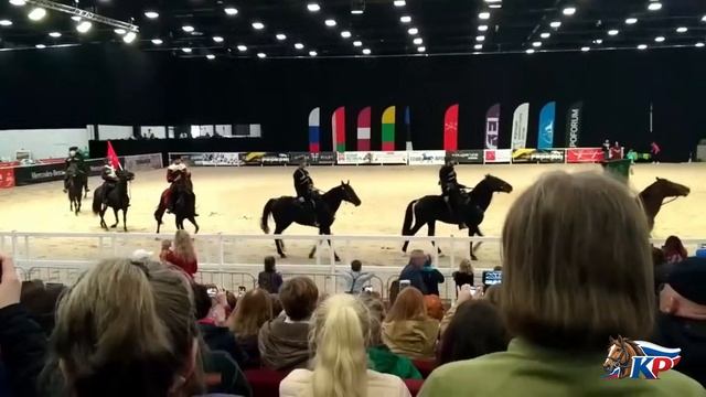 Я смогу! Как настроиться на успех в верховой езде