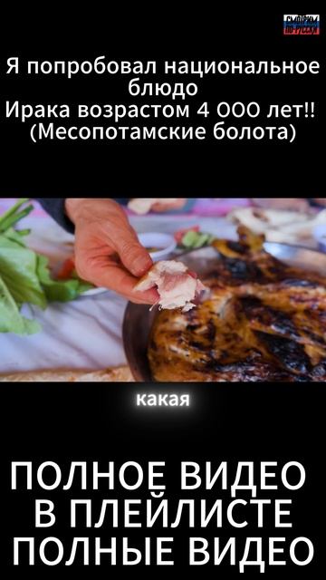 Я попробовал национальное блюдо Ирака возрастом 4 000 лет!! (Месопотамские болота) ЧАСТЬ 7/8