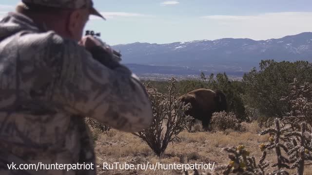 🎯 60 реальных историй охоты всего за 20 минут! Живописные ландшафты, погони и ценные уроки охотника