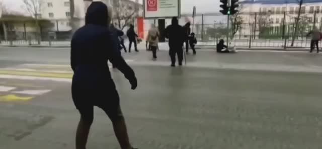 Новороссийск. Когда чайка летит попой вперед.