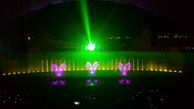 Вьетнам - шоу фонтанов