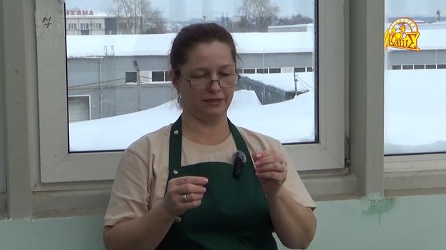 Посадка петуньи