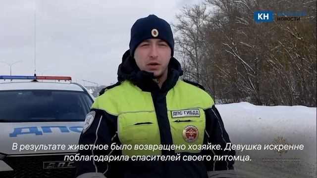 Калужские полицейские спасли и вернули домой собаку