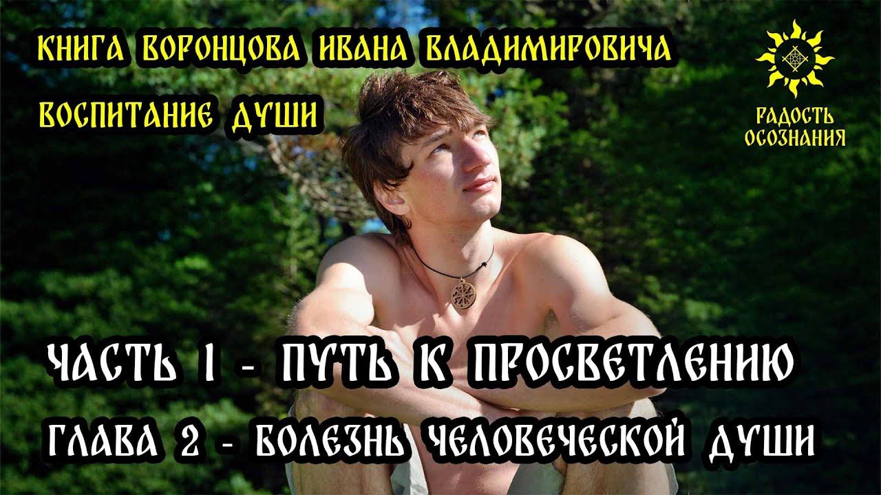 1,2 Болезнь человеческой души. Книга Воронцова И.В. - "Воспитание Души"