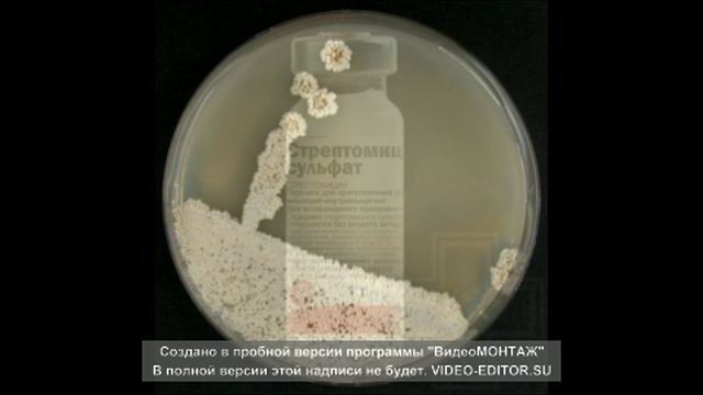 21. Садаков А.Д. Конкурс видеороликов РКММИ