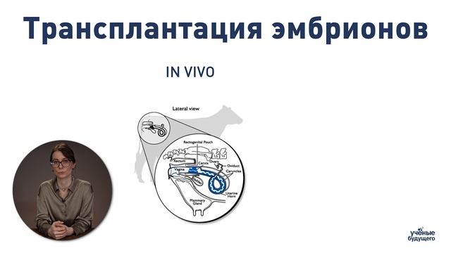 Генетические и репродуктивные биотехнологии в животноводстве