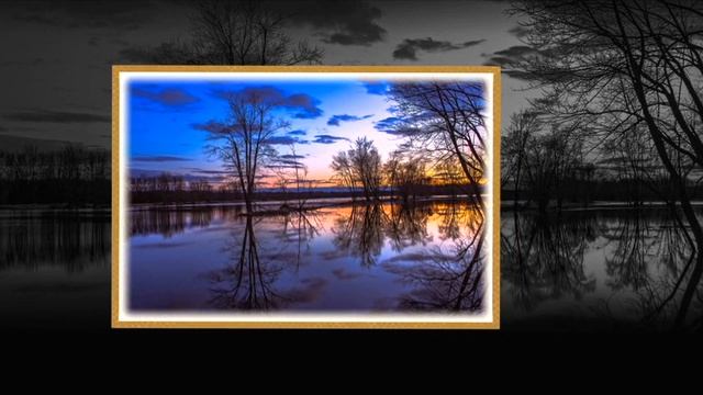 Skin-Divers - Down Tempo