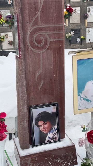 ПРЯТАЛА БОЛЕЗНЬ ОТ ВСЕЙ СТРАНЫ | МОГИЛА ВЕЛИКОЙ КРИСТАЛИНСКОЙ | ДОНСКОЕ КЛАДБИЩЕ 24.02.2026