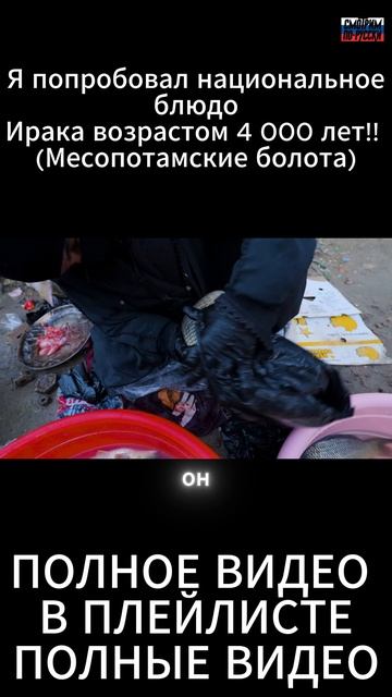 Я попробовал национальное блюдо Ирака возрастом 4 000 лет!! (Месопотамские болота) ЧАСТЬ 2/8