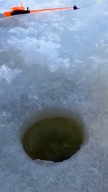 Лучшая мормышка на окуня #icefishing #зимняяловля #окуньнамормышку