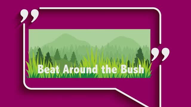 beat around the bush