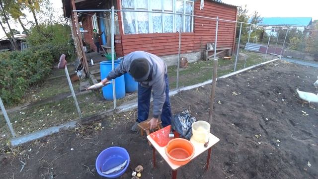 Готовим на костре #1 - Пламенная рыбка