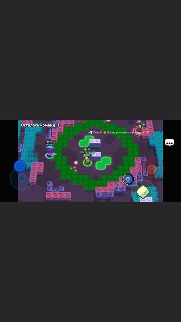 Каточка в ШД за Спайка😀