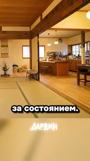 Шутка минутка