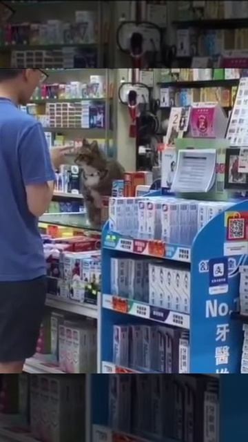 Гладь меня полностью!