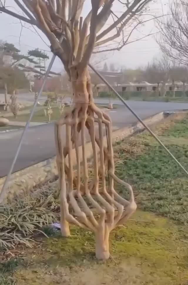 Придание формы растениям