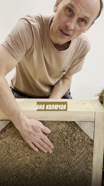 Мыши и дома из соломы (Соломит)