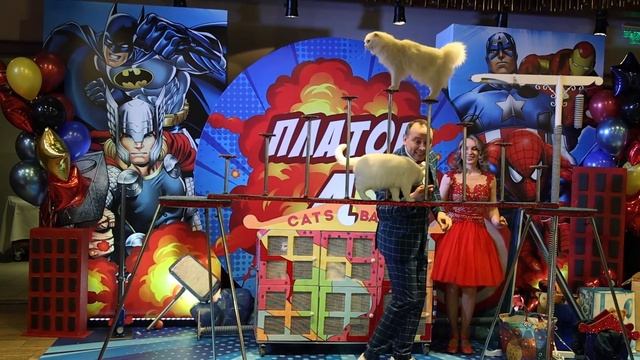 Шоу Кошечек