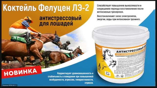 Сбалансированные корма и кормовые добавки Фелуцен в кормлении лошадей