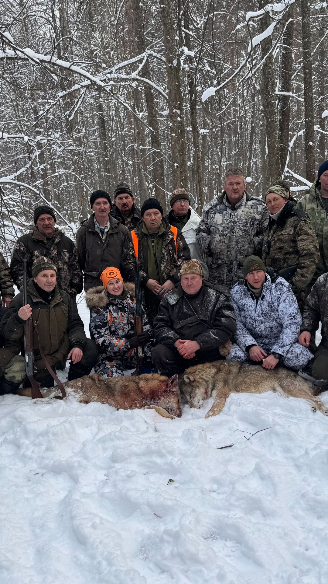 Волки оклад 2025